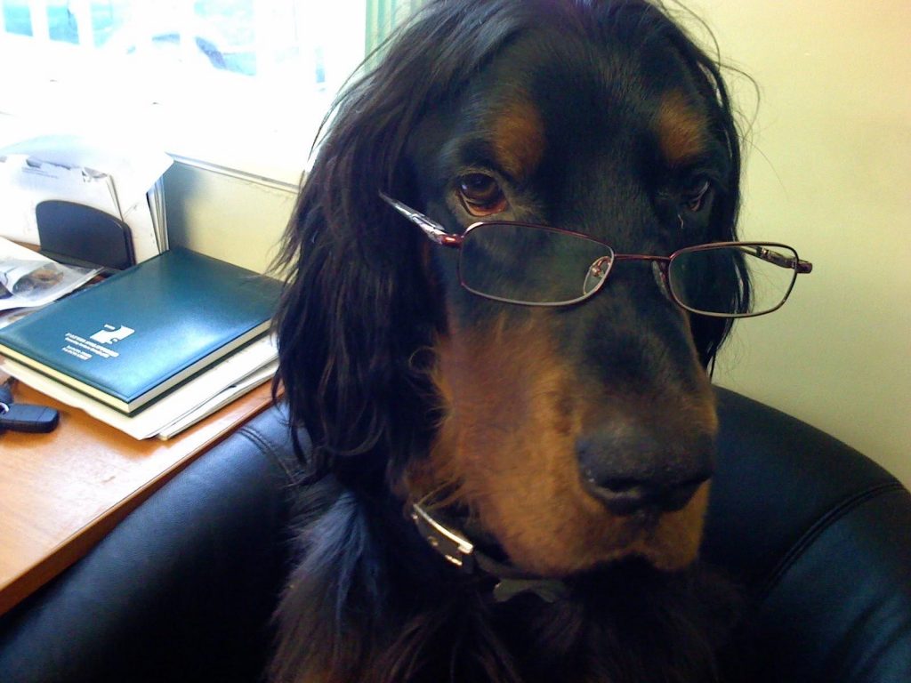 Meet the team – Tomsons